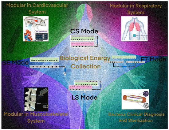 Modular Design in Triboelectric Sensors: A Review on the Clinical ...