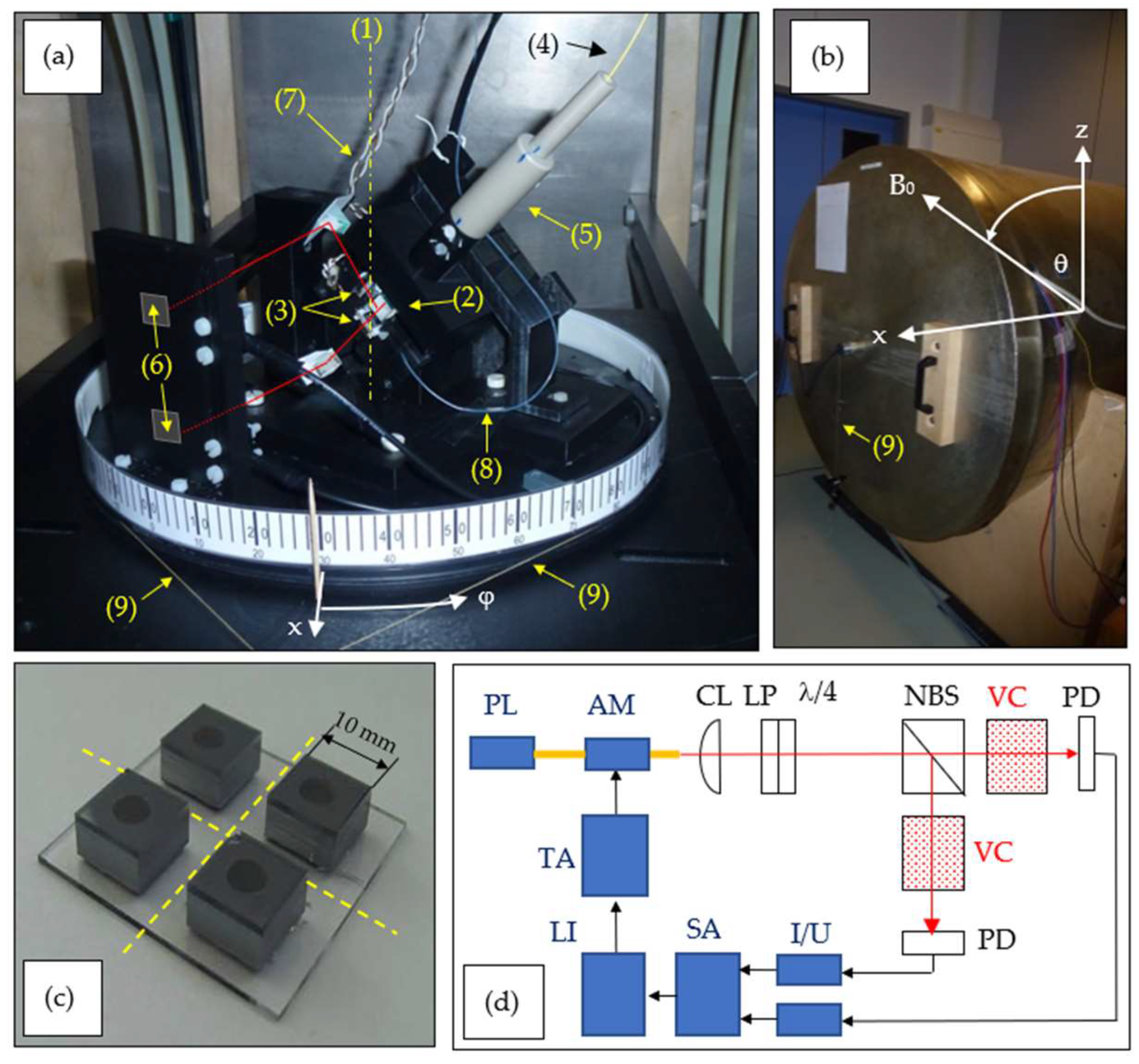 An Optically Pumped Magnetometer with Omnidirectional Magnetic Field ...