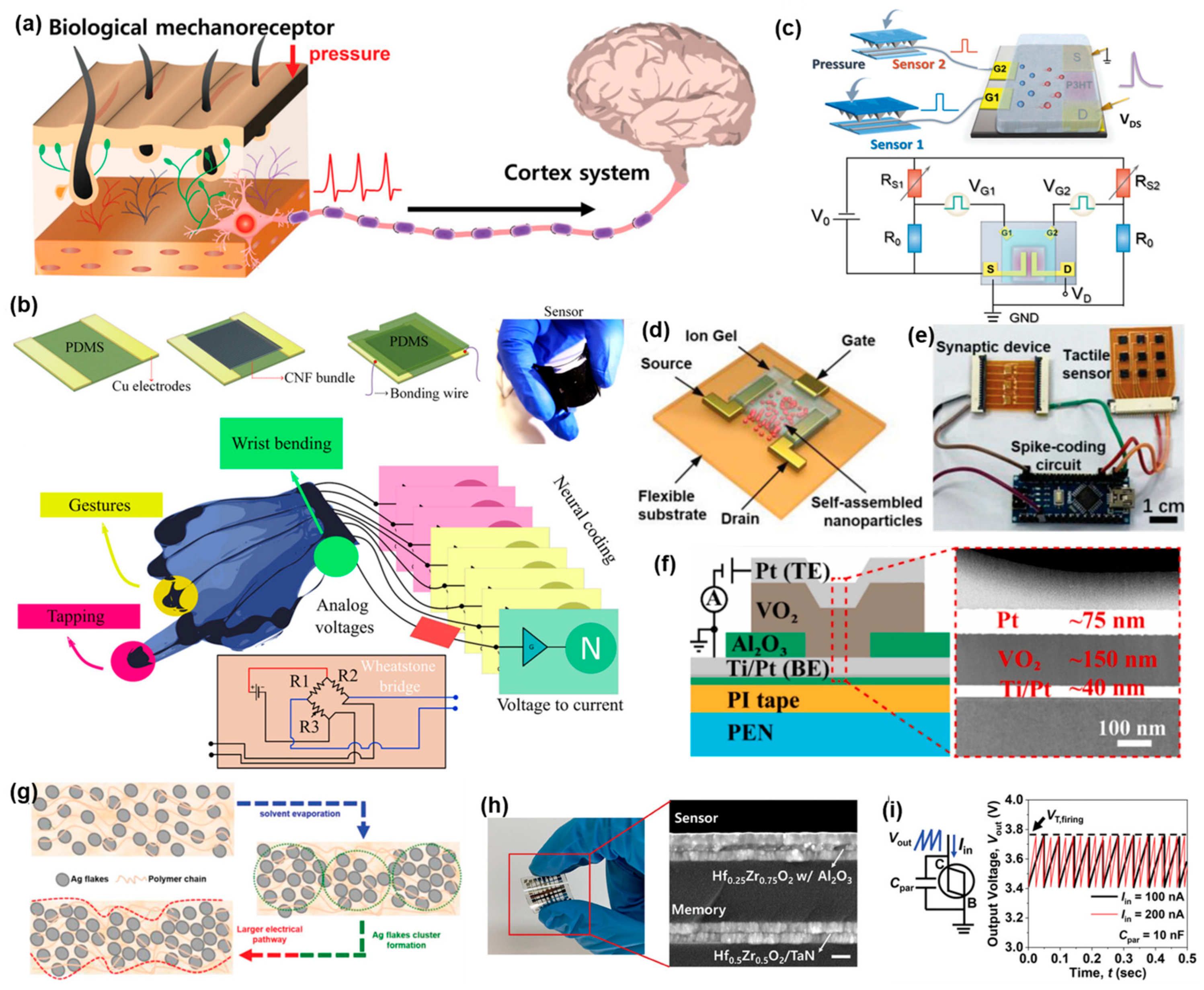 Recent Progress in Wearable Near-Sensor and In-Sensor Intelligent ...
