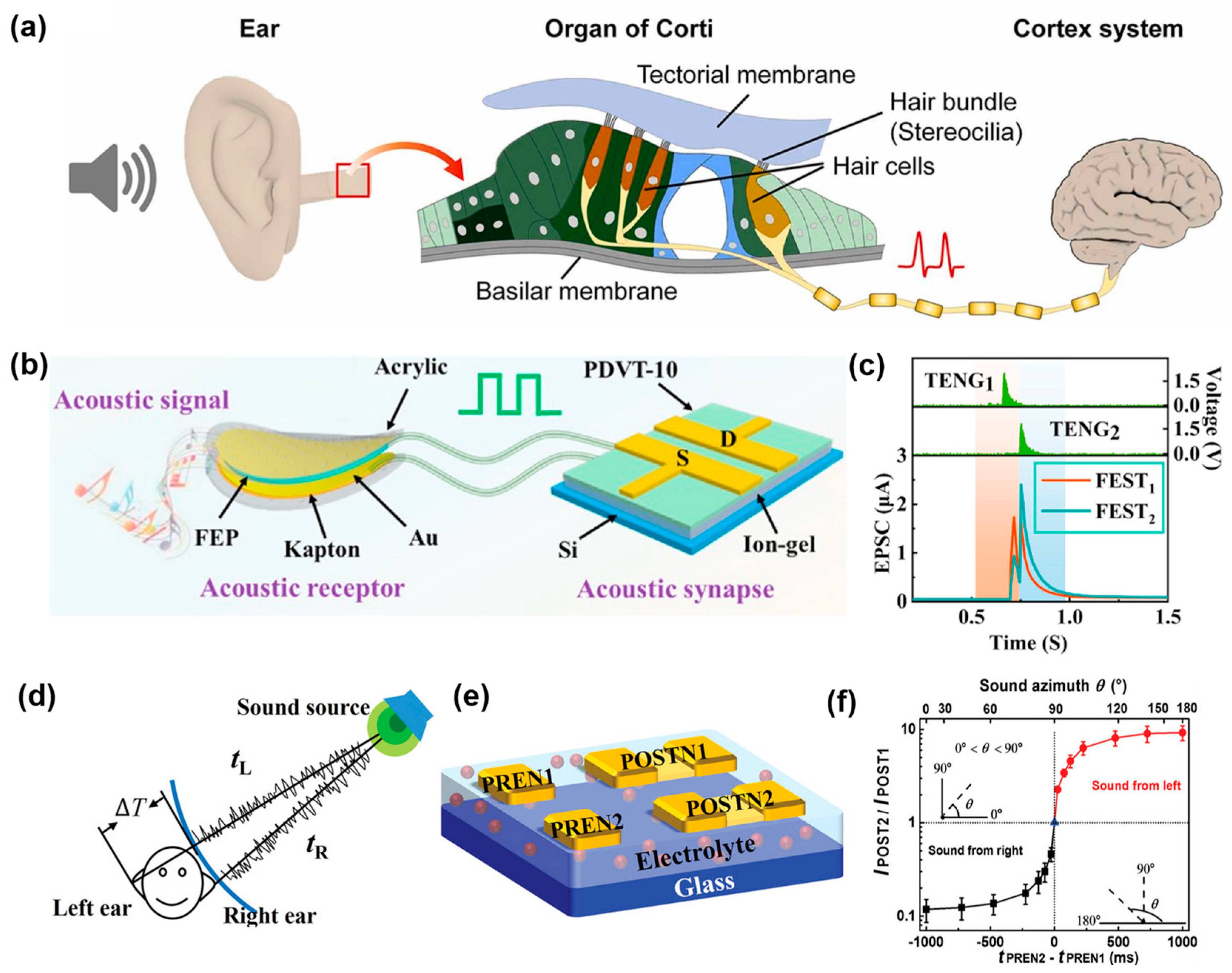 Recent Progress in Wearable Near-Sensor and In-Sensor Intelligent ...