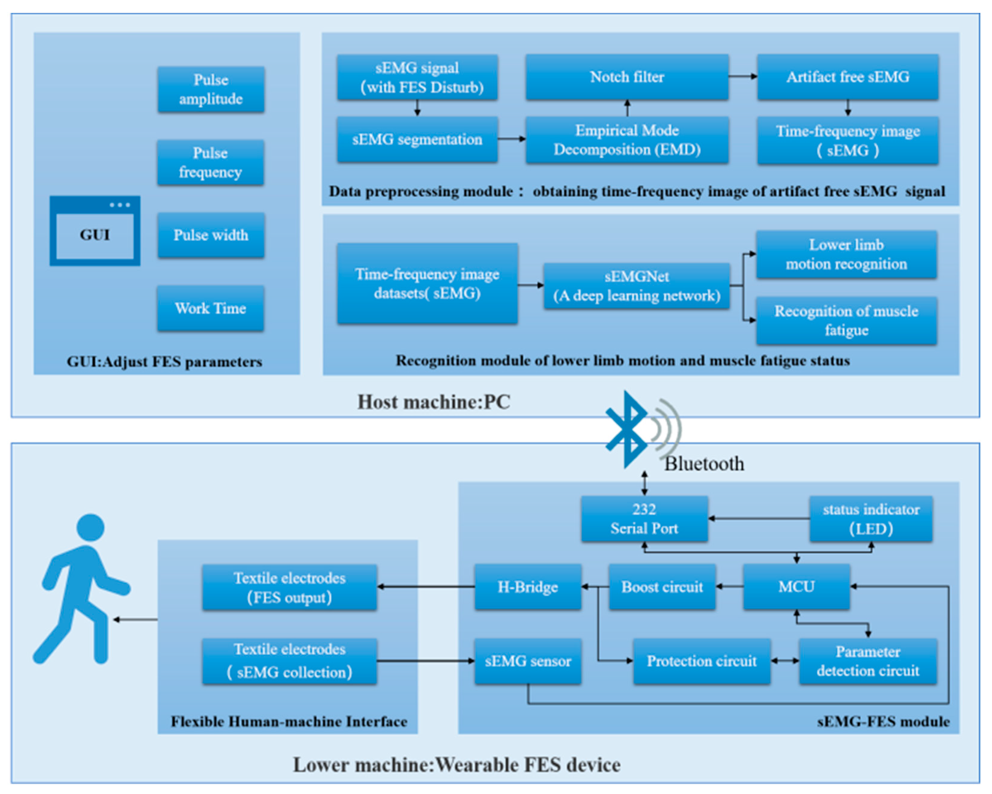 Recognition of Human Lower Limb Motion and Muscle Fatigue Status Using ...