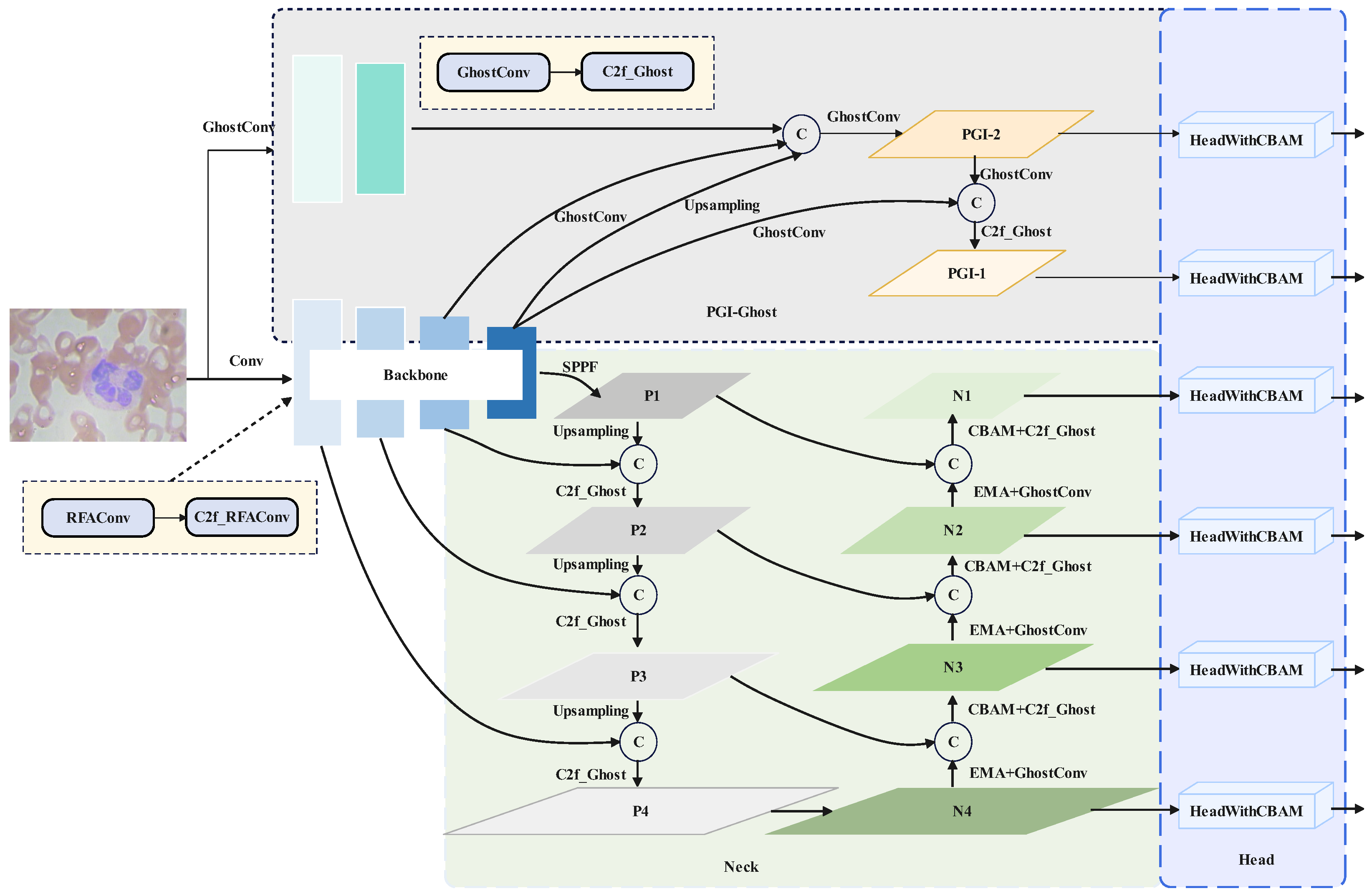 TW-YOLO: An Innovative Blood Cell Detection Model Based on Multi-Scale ...