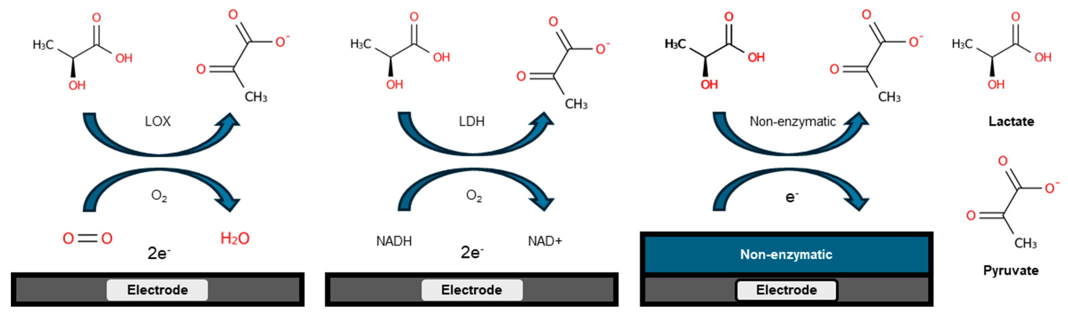 A Comprehensive Review of Advanced Lactate Biosensor Materials, Methods ...