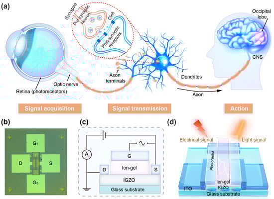 Ion Gel-Modulated Low-Temperature Field-Effect Phototransistors with ...