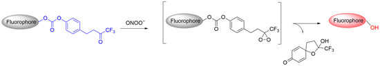 Recent Advancement in Fluorescent Probes for Peroxynitrite (ONOO−) | MDPI