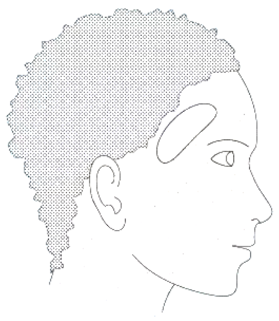The Next Frontier in Brain Monitoring: A Comprehensive Look at In-Ear ...