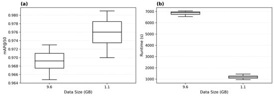 Influences and Training Strategies for Effective Object Detection in ...