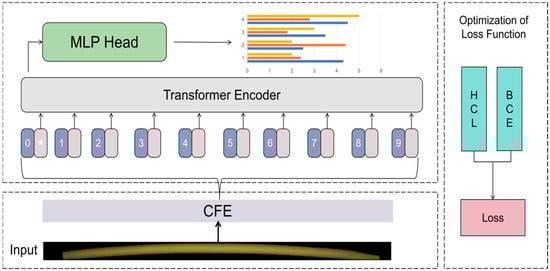 C-ViT: An Improved ViT Model for Multi-Label Classification of Bamboo ...