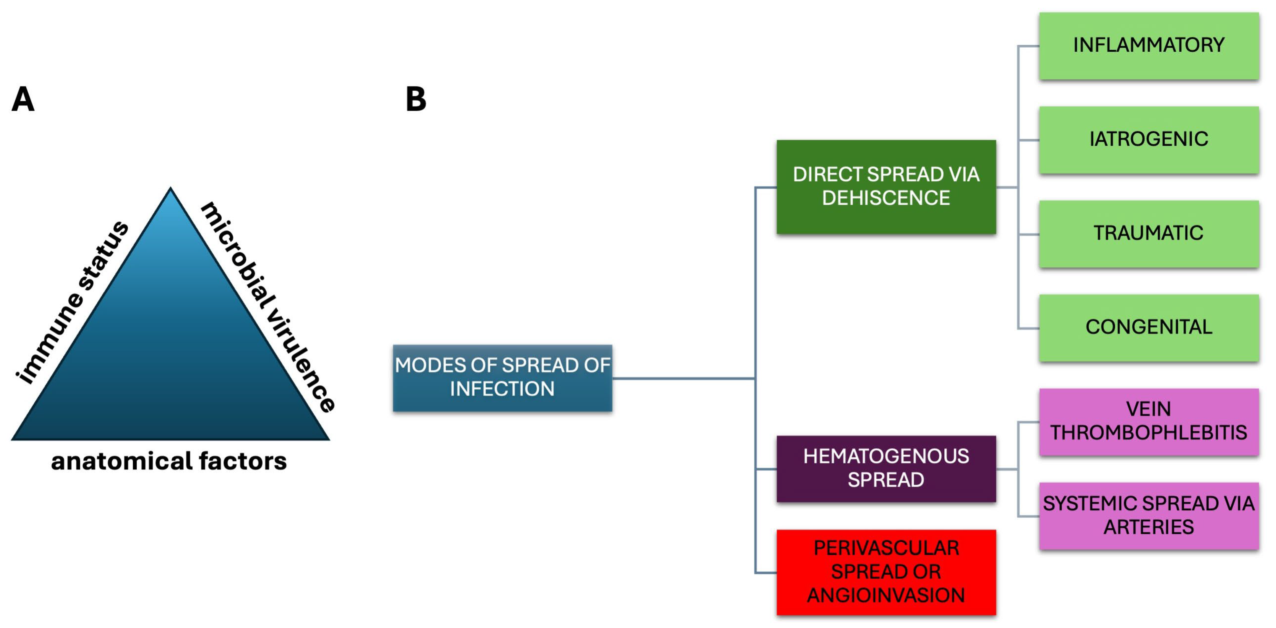 Sinusitis Complications—A Comprehensive Review of Management from the ...