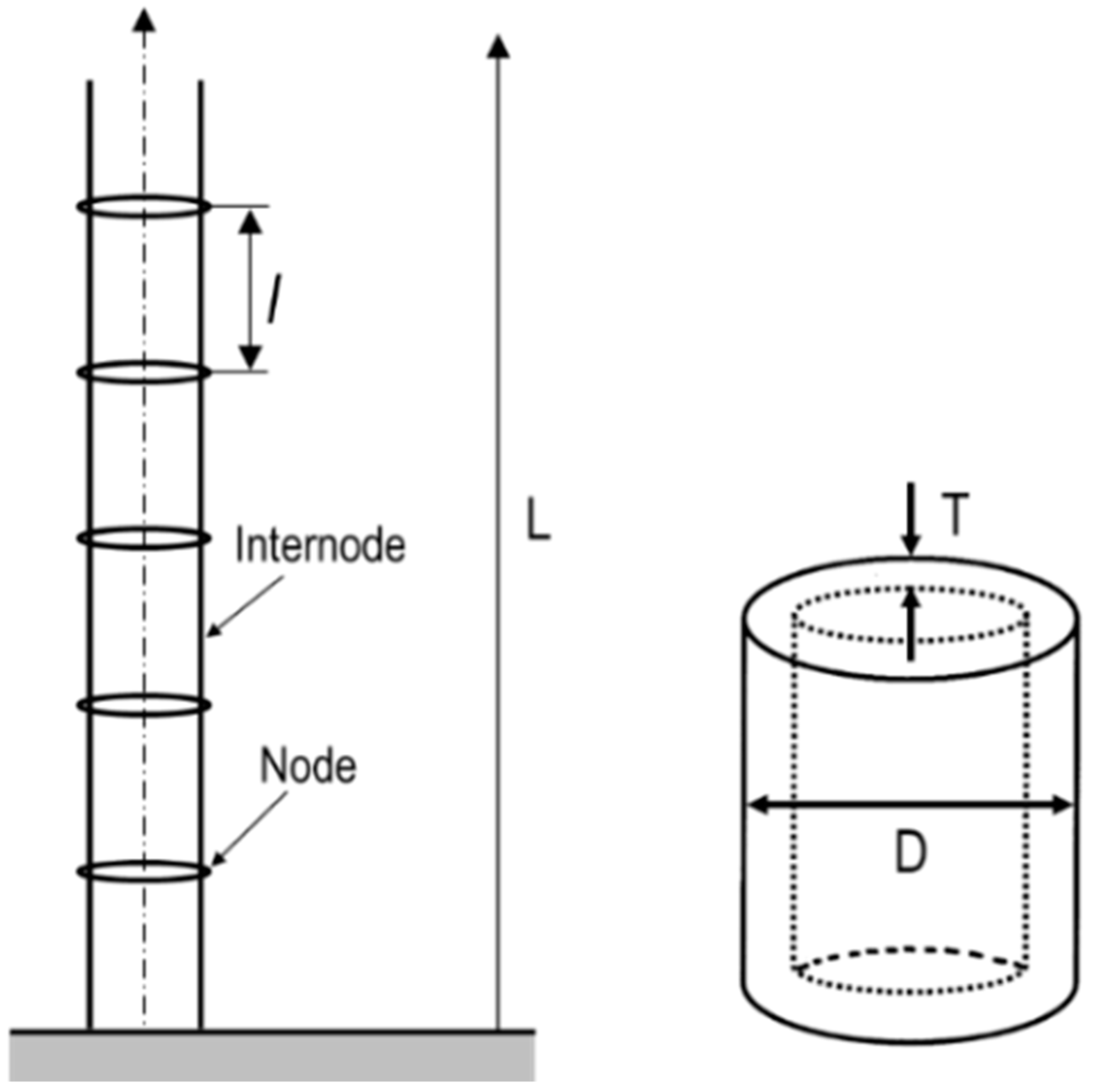 Bamboo as a Sustainable Building Material—Culm Characteristics and ...