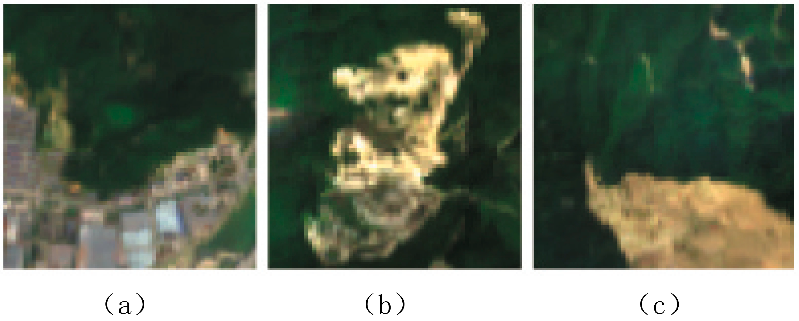 Deep Learning in Forest Tree Species Classification Using Sentinel-2 on Google Earth Engine: A ...