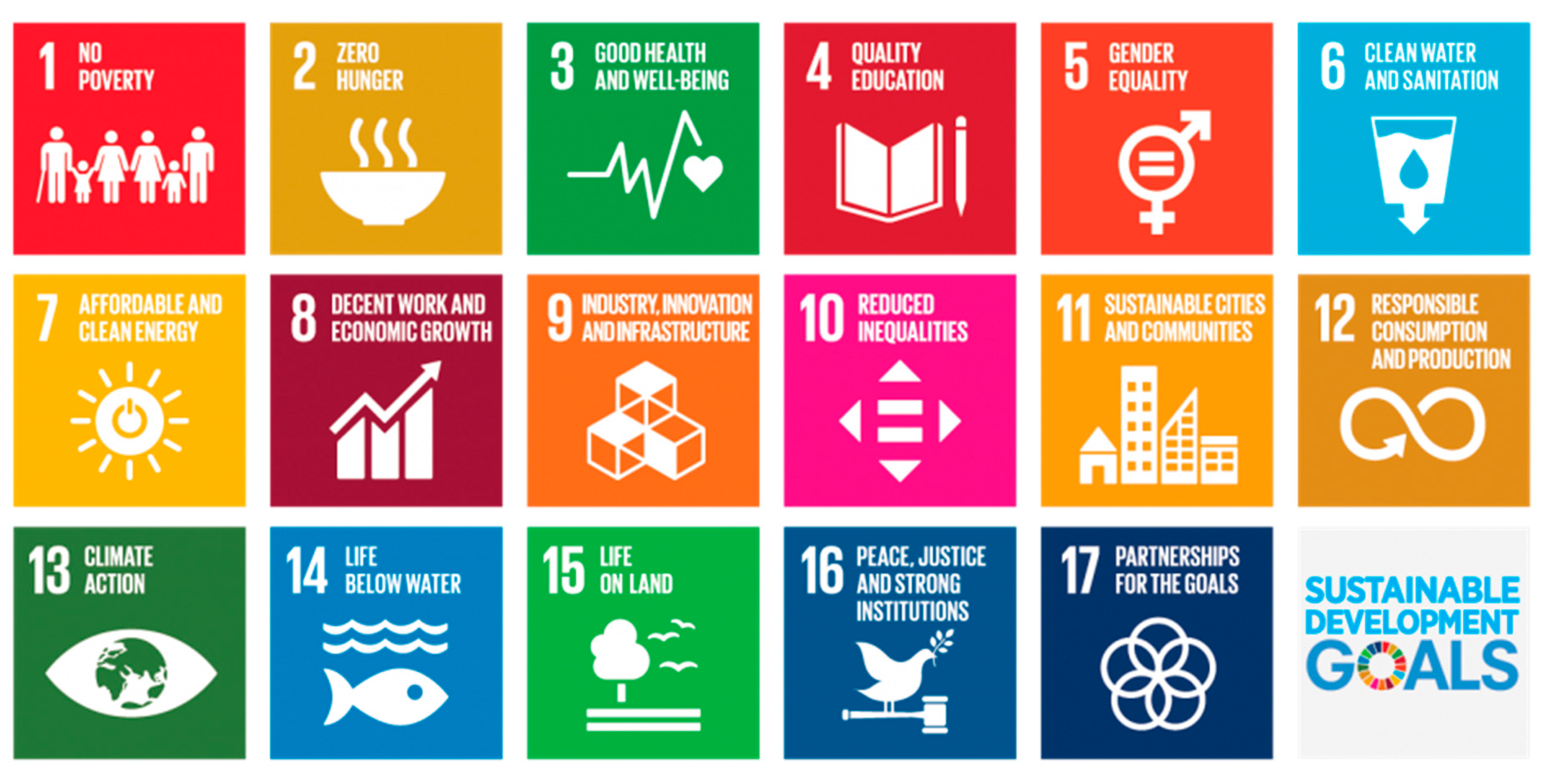 Wind Energy Contribution to the Sustainable Development Goals: Case ...