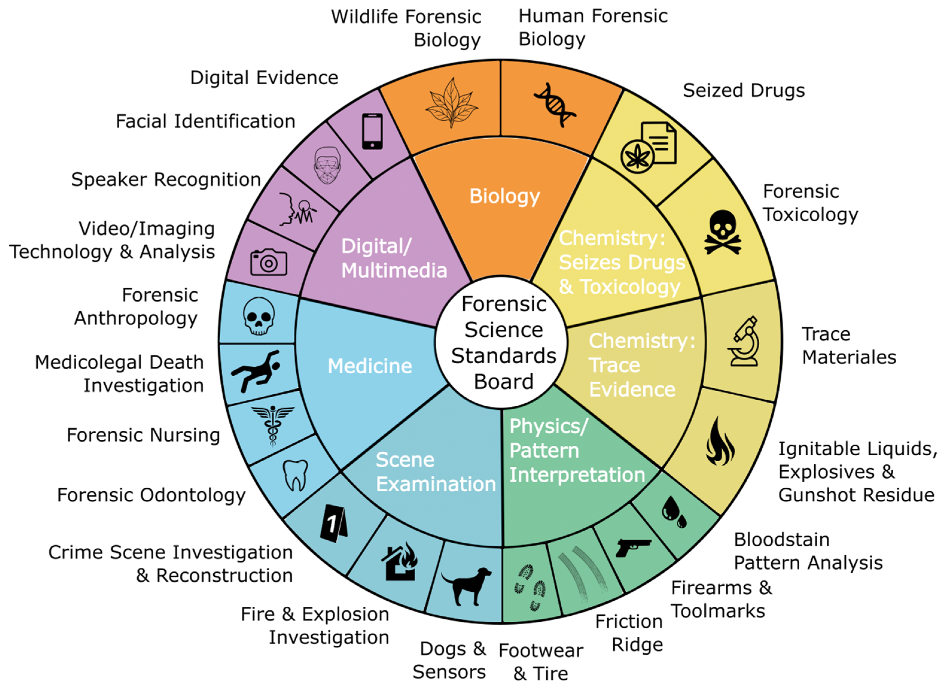 Technology in Forensic Sciences: Innovation and Precision | MDPI