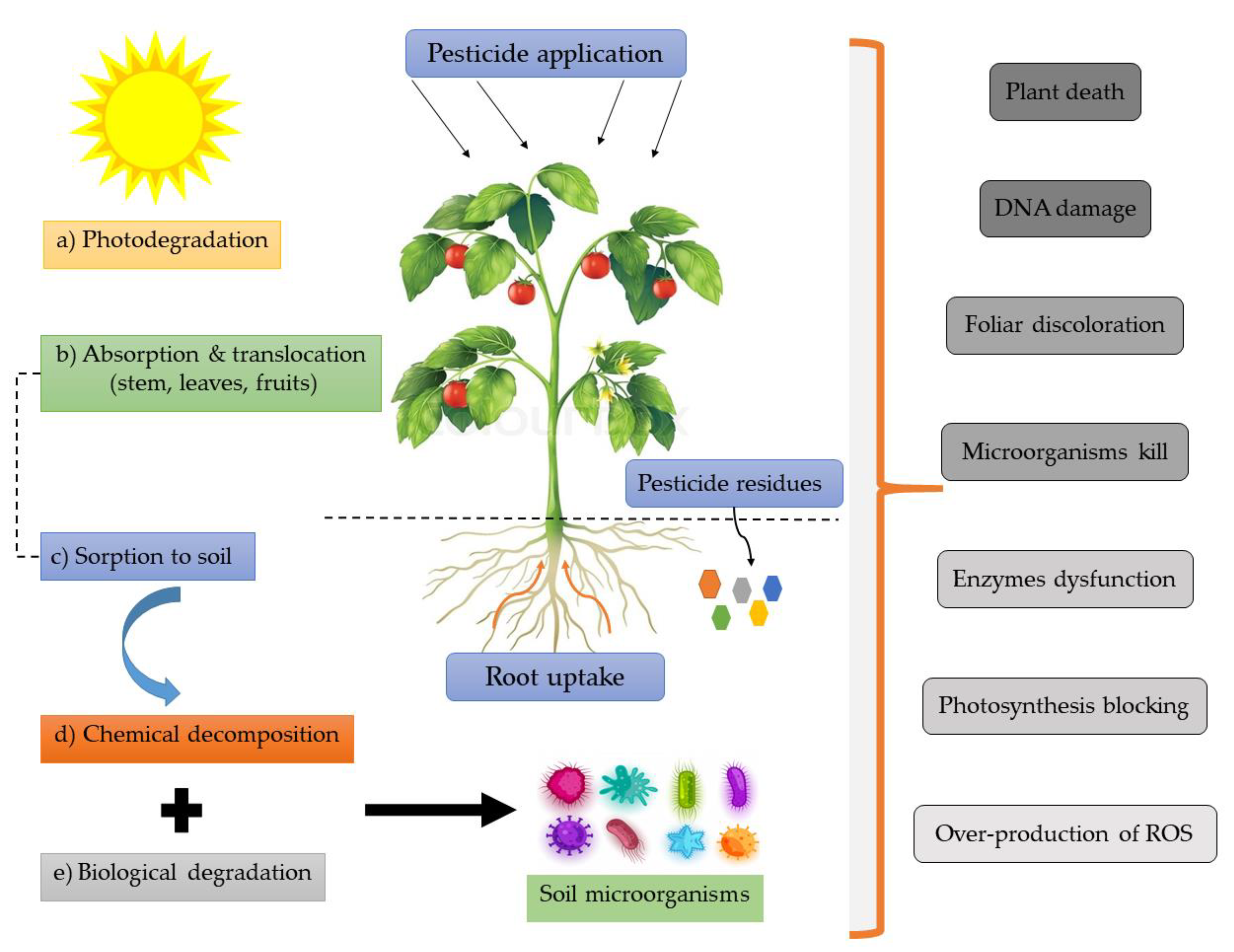 Heavy Metals and Pesticides Toxicity in Agricultural Soil and Plants ...