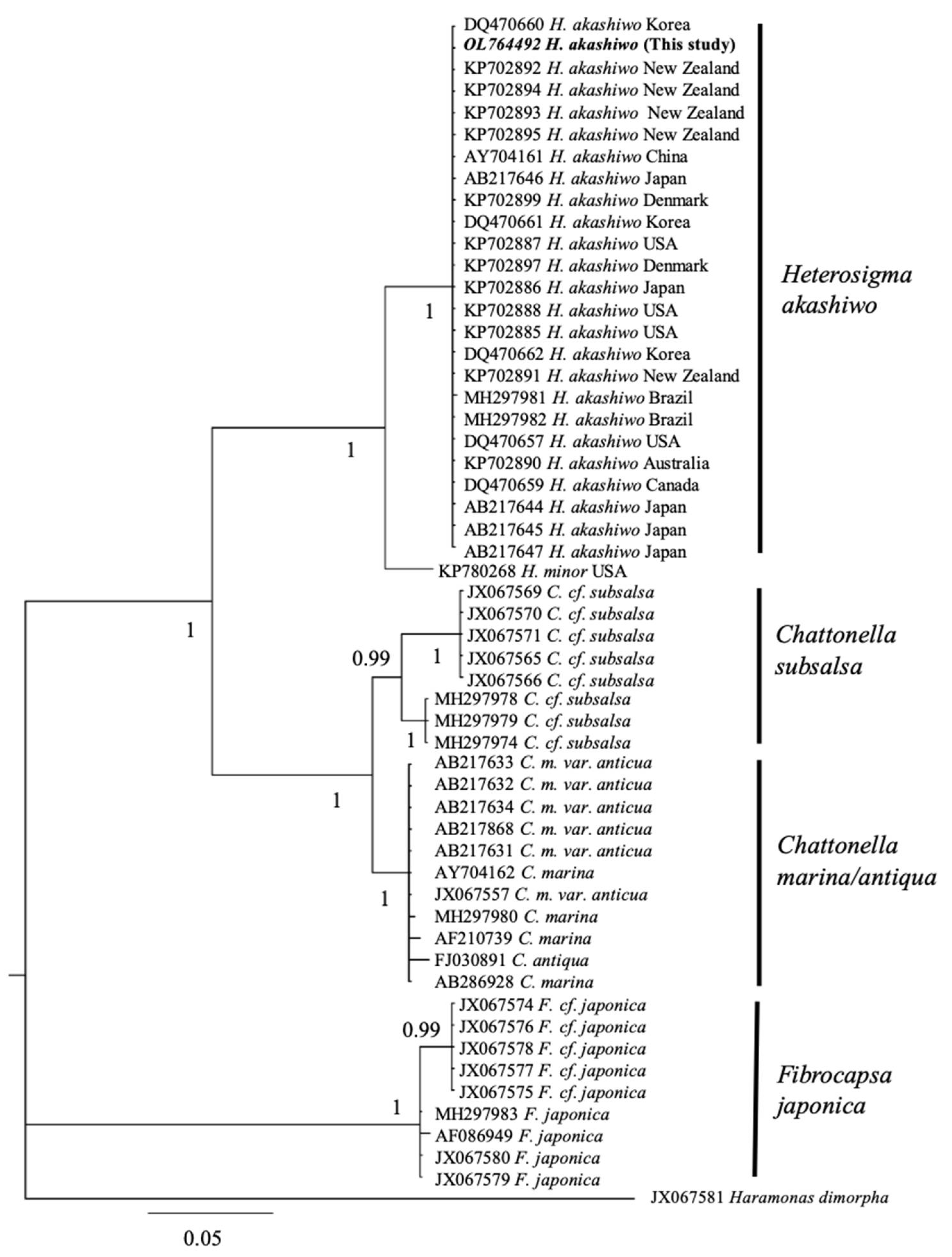 Heterosigma akashiwo in Patagonian Fjords: Genetics, Growth, Pigment ...