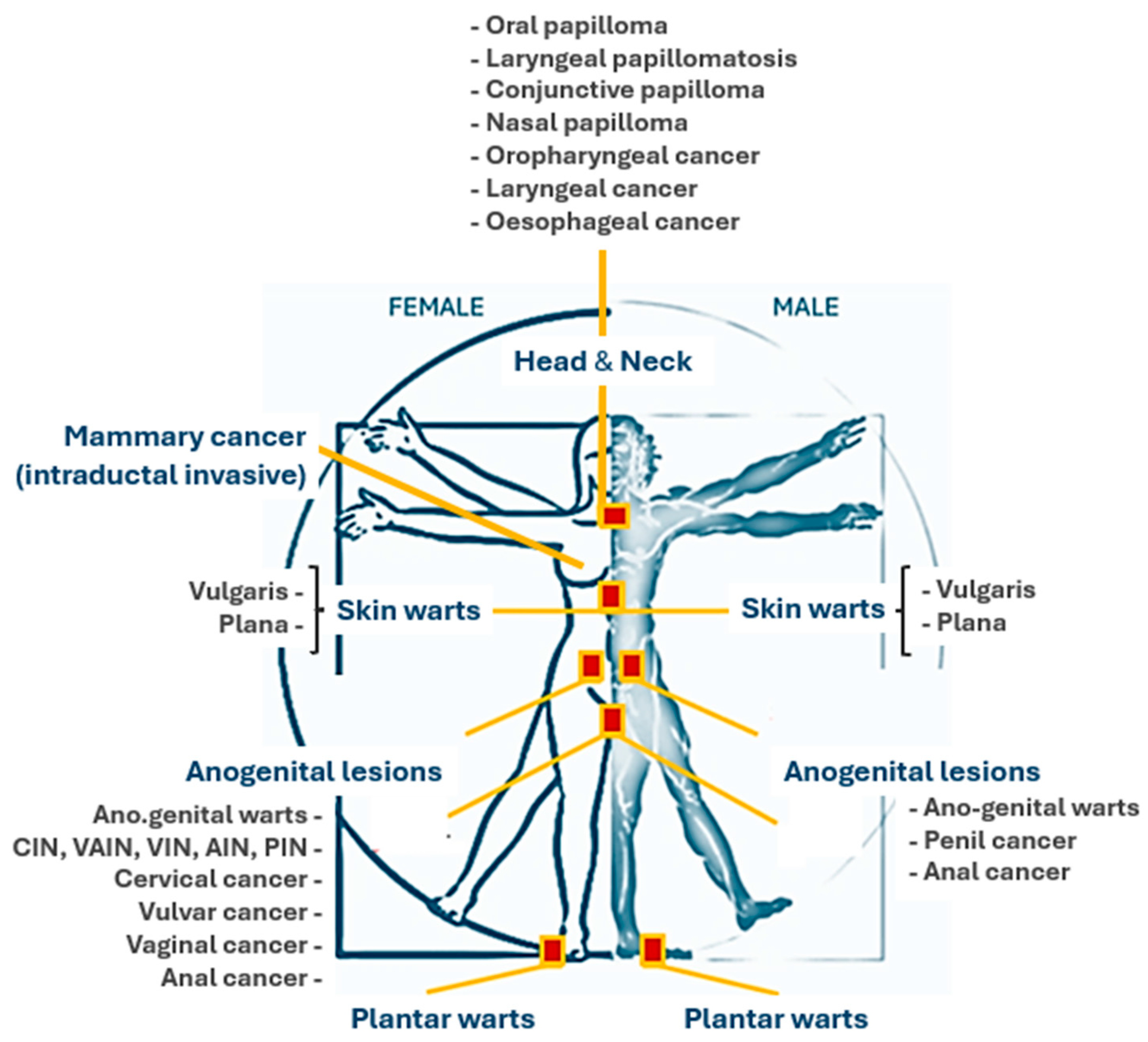 Human Papillomavirus (HPV) Vaccination: Progress, Challenges, and ...
