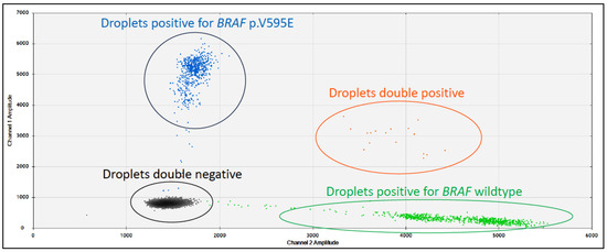 Clinical Use of Molecular Biomarkers in Canine and Feline Oncology ...
