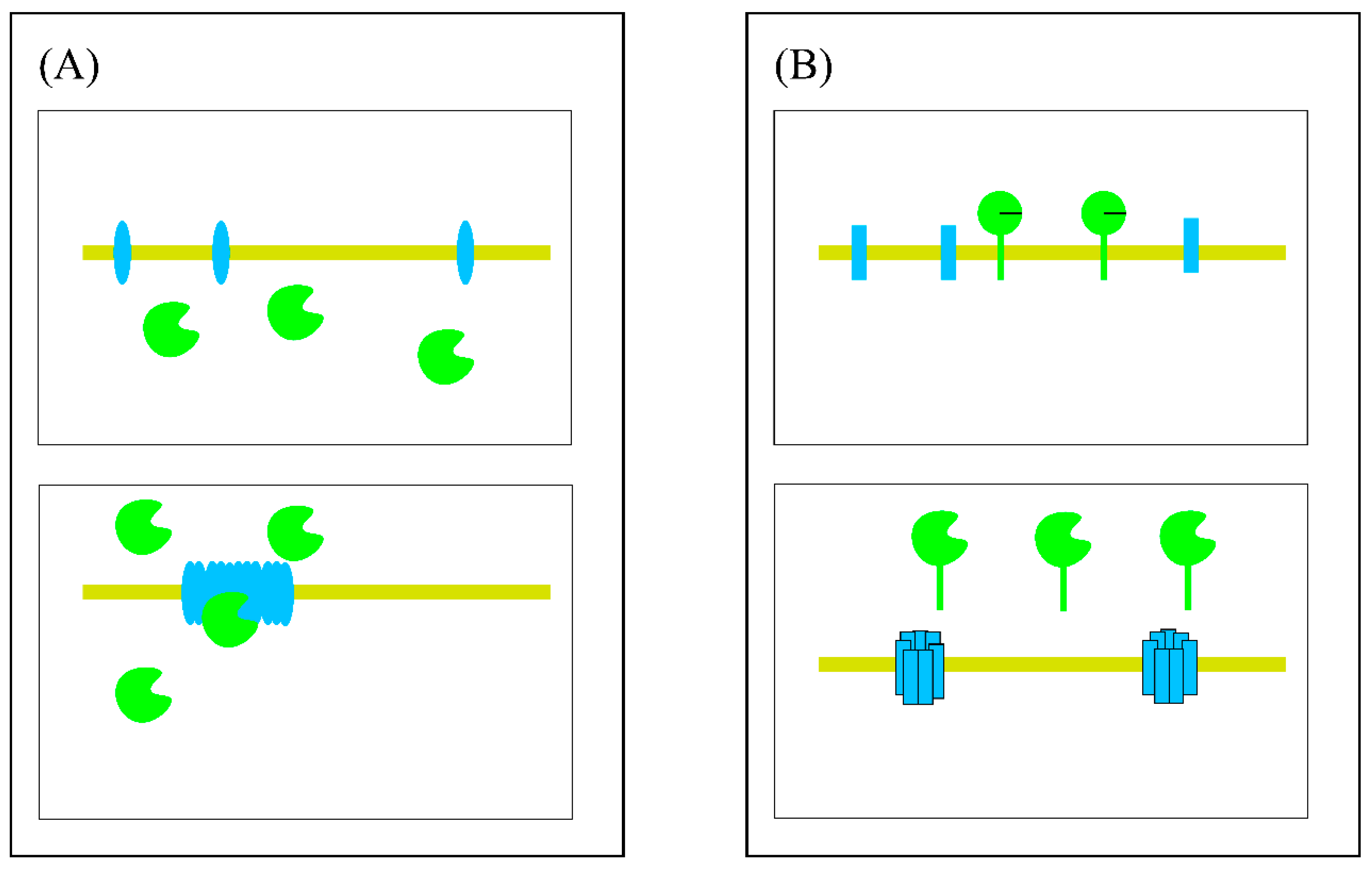 Acinetobacter Baumannii Phages: Past, Present and Future | MDPI