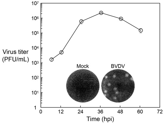 A Bovine Cell Line Resistant to Japanese Encephalitis Virus Entry but ...