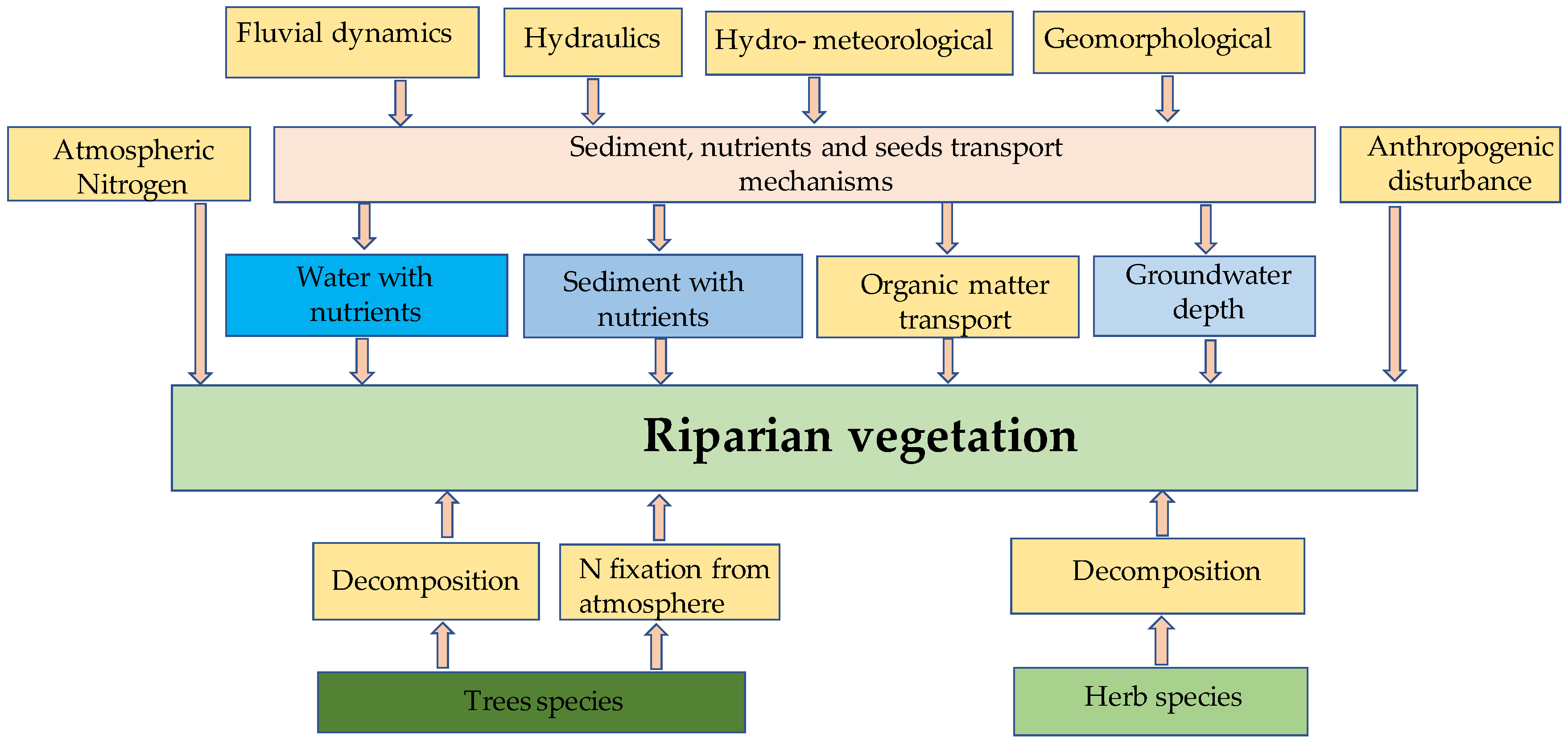 Mechanism of Riparian Vegetation Growth and Sediment Transport ...