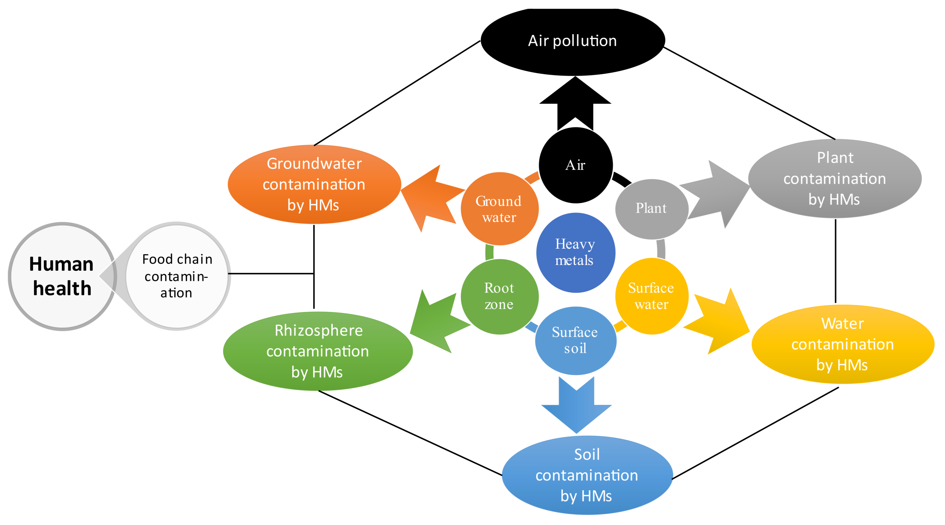 A Review on Cadmium and Lead Contamination: Sources, Fate, Mechanism ...