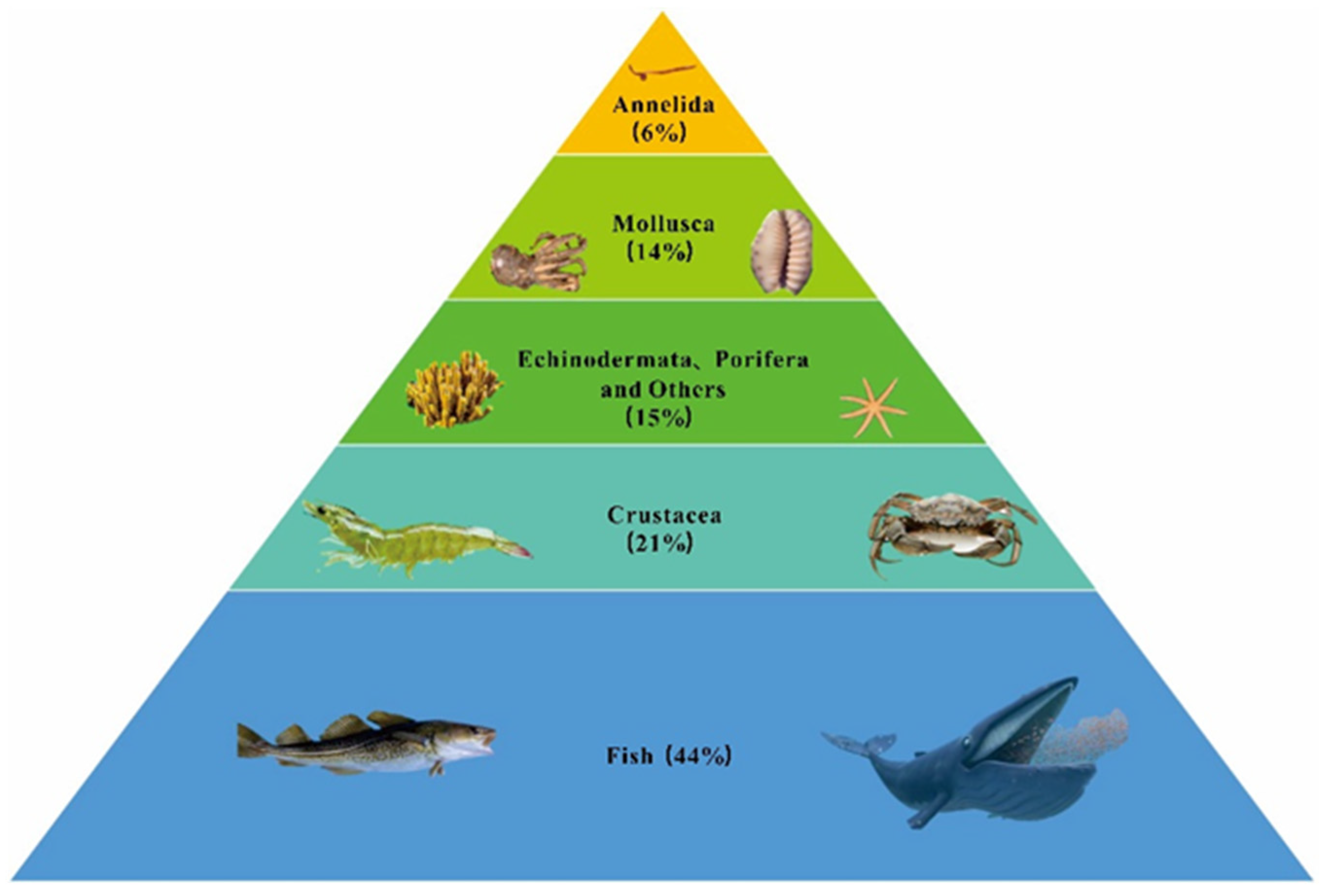 Natural Factors of Microplastics Distribution and Migration in Water: A ...