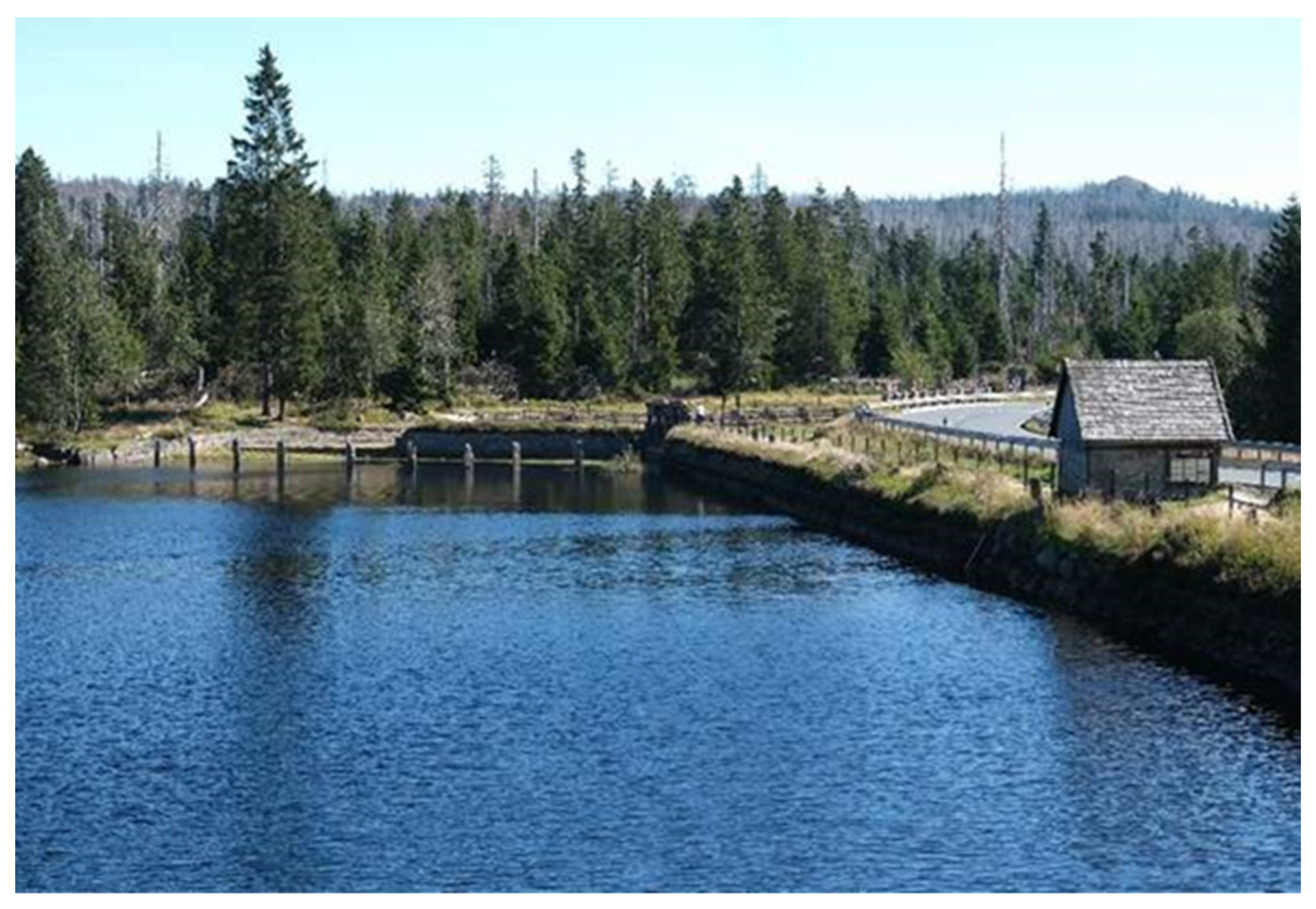 Water Dams: From Ancient to Present Times and into the Future | MDPI