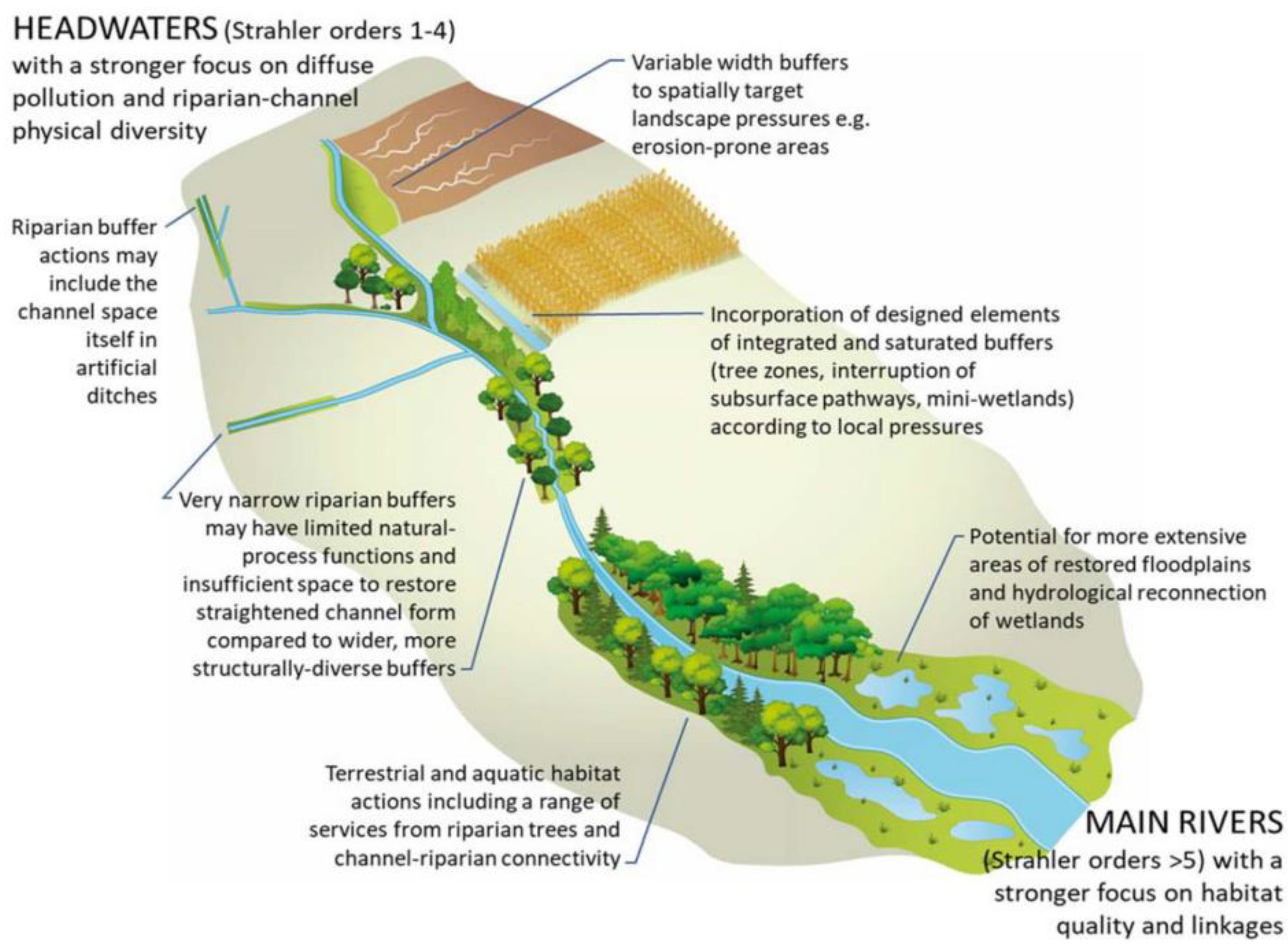 A Comprehensive Review on Ecological Buffer Zone for Pollutants Removal ...