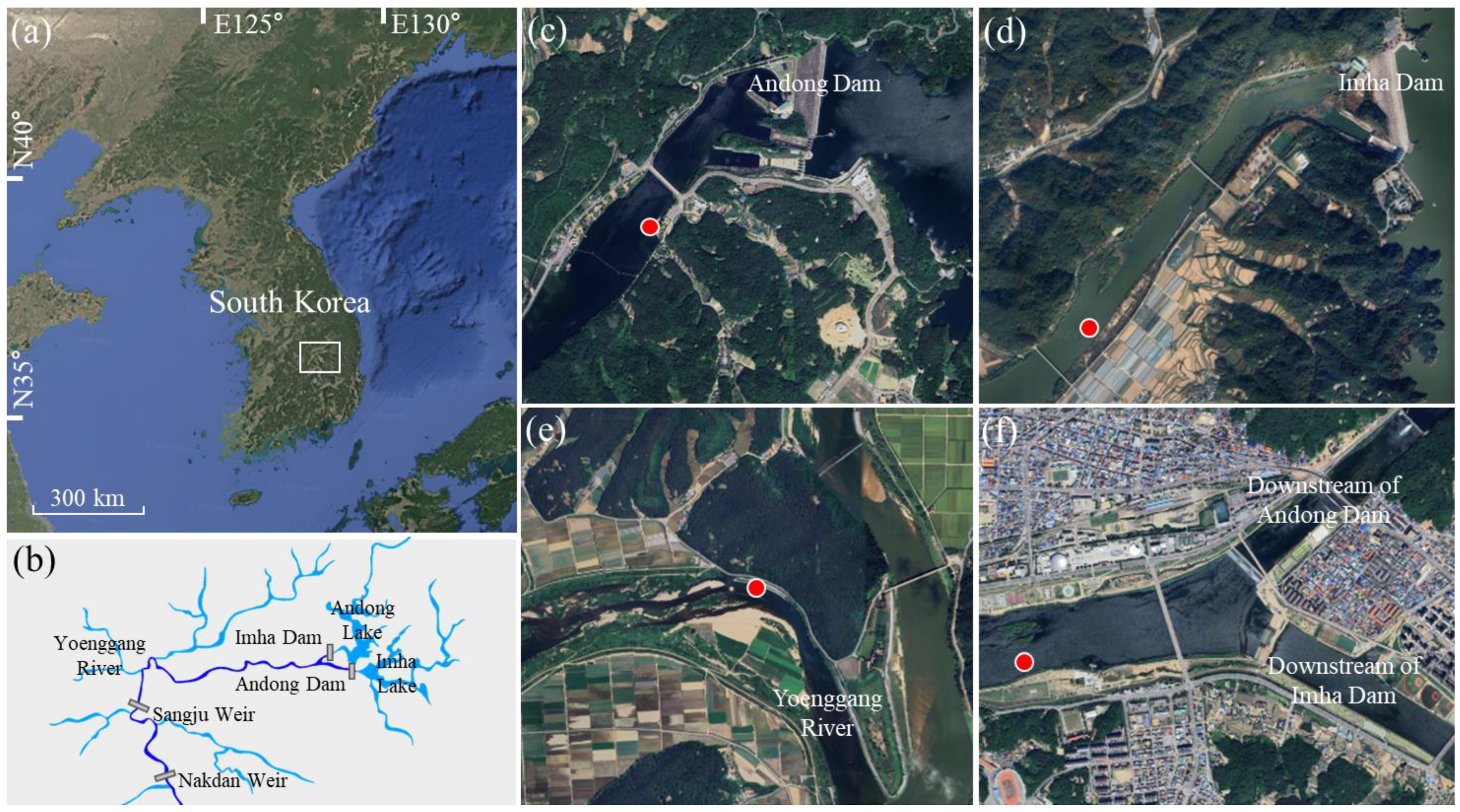 Morphology and Ecology of Newly Recorded Diatom Taxa from the ...