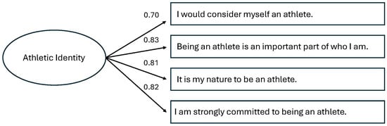 The Athletic Identity Measurement Scale-3rd Generation (AIMS-3G ...